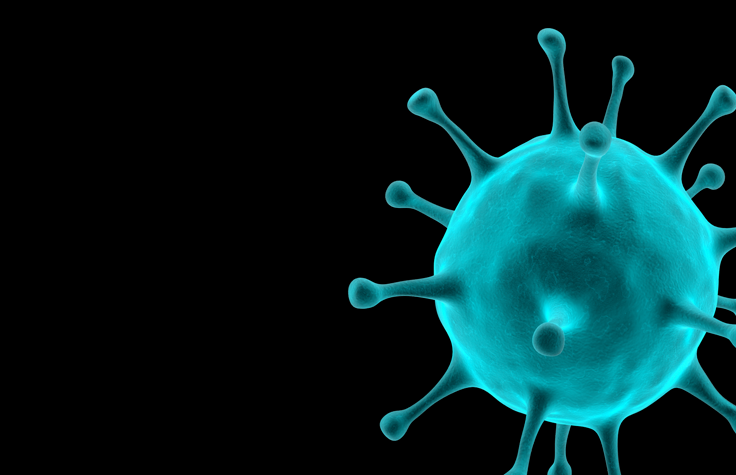 Virus-Specific Target Capture Coupled with NGS for Rapid and Sensitive ...