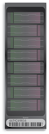 Images | Illumina images for general use