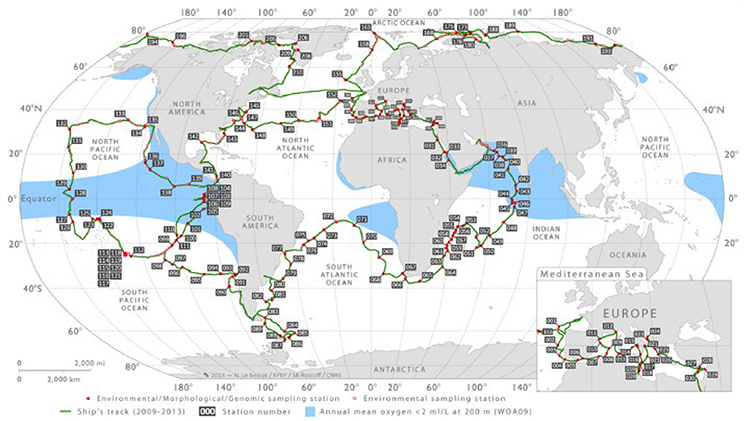 Sailing the Seven Seas for an Epic Plankton Study
