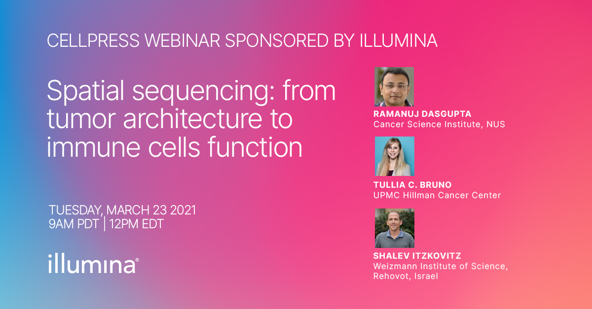 Spatial sequencing: from tumor architecture to immune cells function