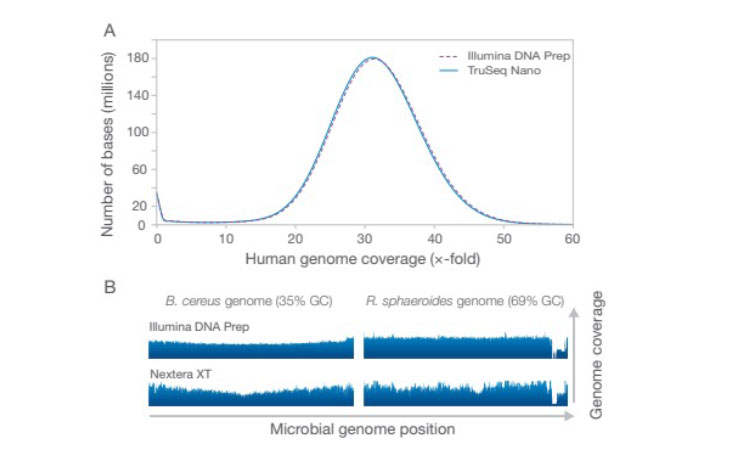 Illumina DNA Prep | Flexibility for many genome sequencing applications