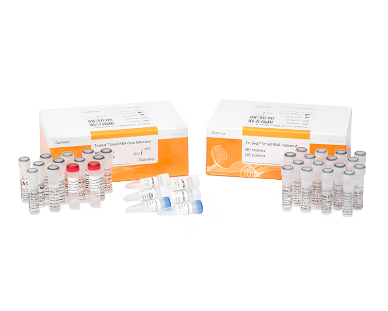 TruSeq RNA Library Prep Kit v2 | Total RNA의 간단한 라이브러리