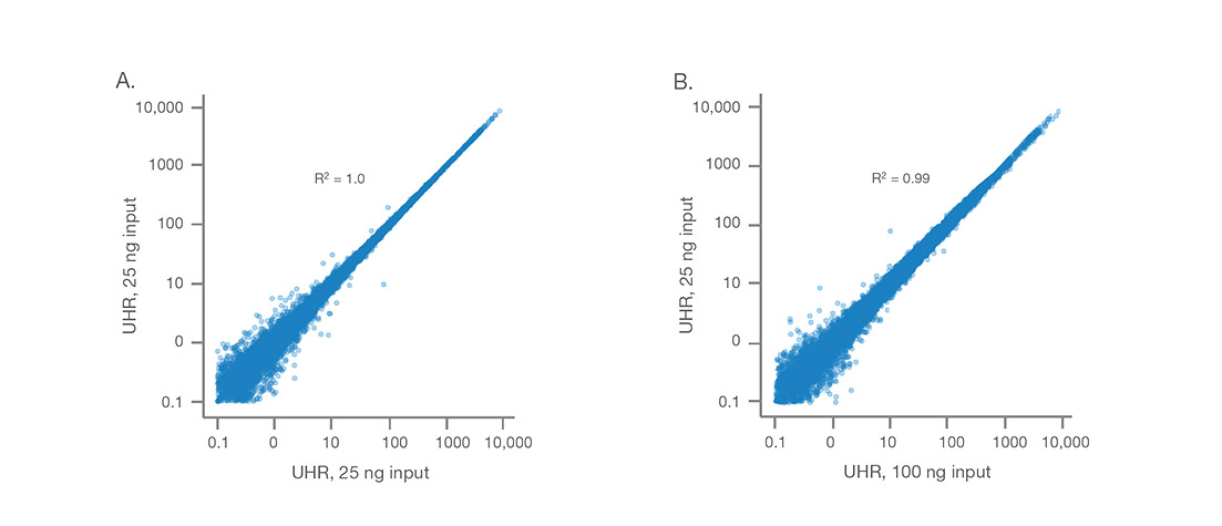 Illumina Stranded mRNA Prep | A clear view of the coding transcriptome